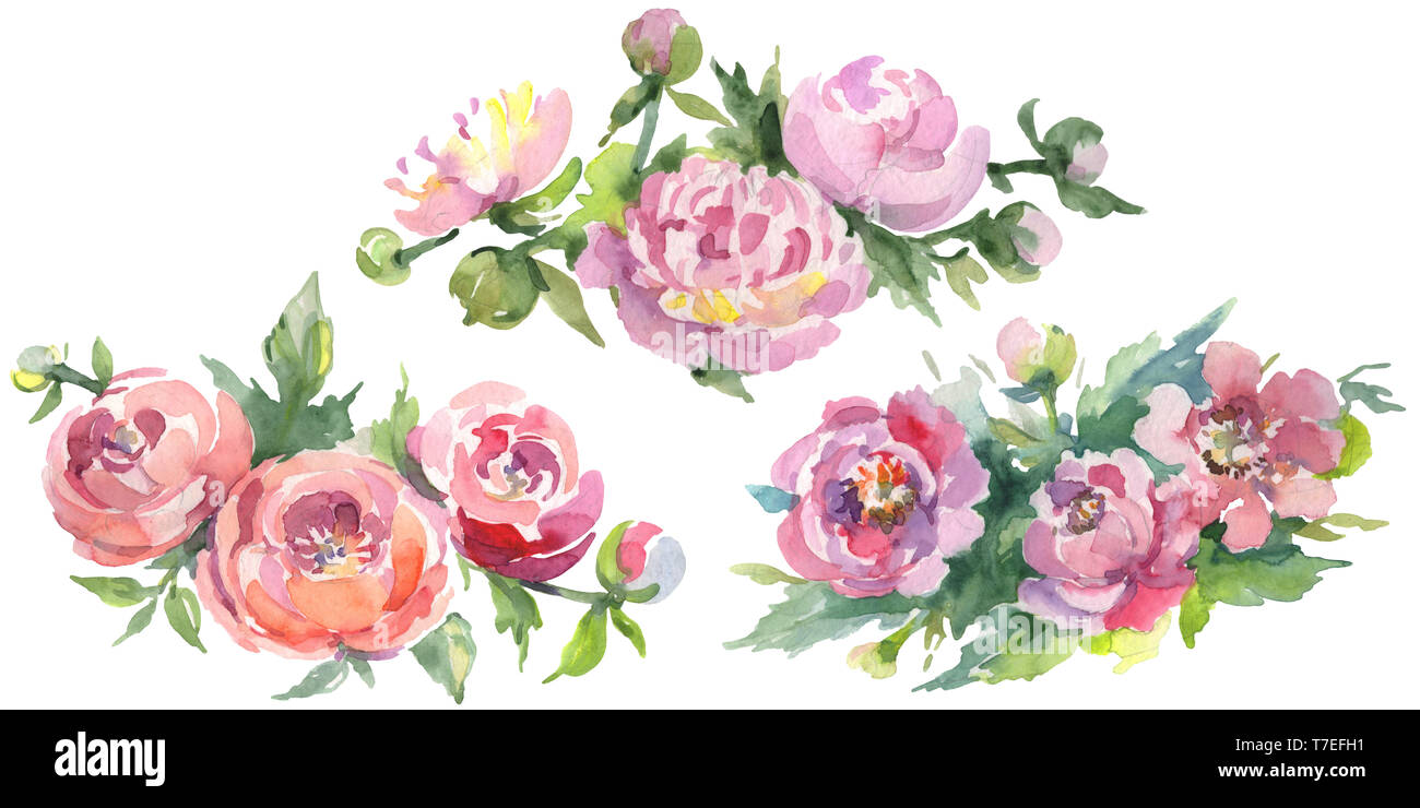 Peony bouquet floral botanical flowers. Wild spring leaf wildflower ...