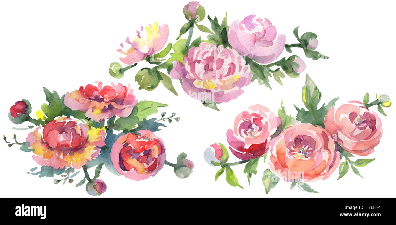 Peony bouquet floral botanical flowers. Wild spring leaf wildflower ...