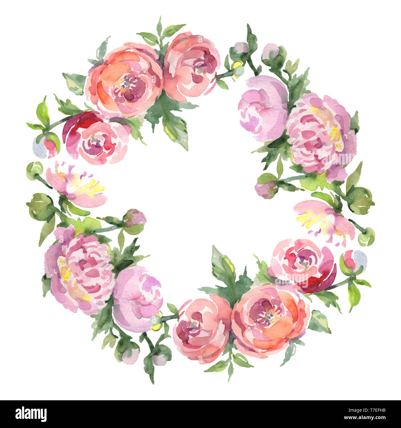 Peony bouquet floral botanical flowers. Wild spring leaf wildflower ...