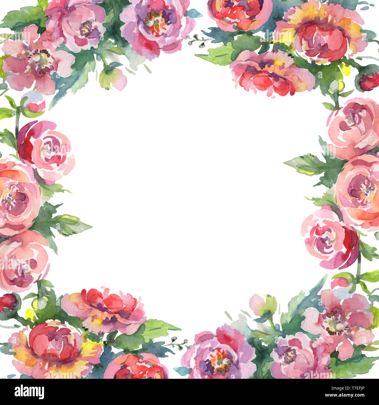 Peony bouquet floral botanical flowers. Wild spring leaf wildflower ...