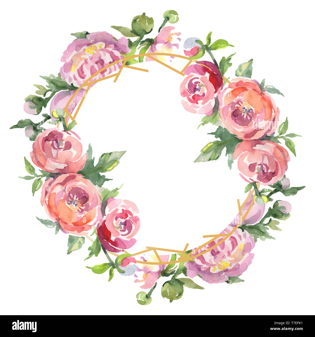 Peony bouquet floral botanical flowers. Wild spring leaf wildflower ...