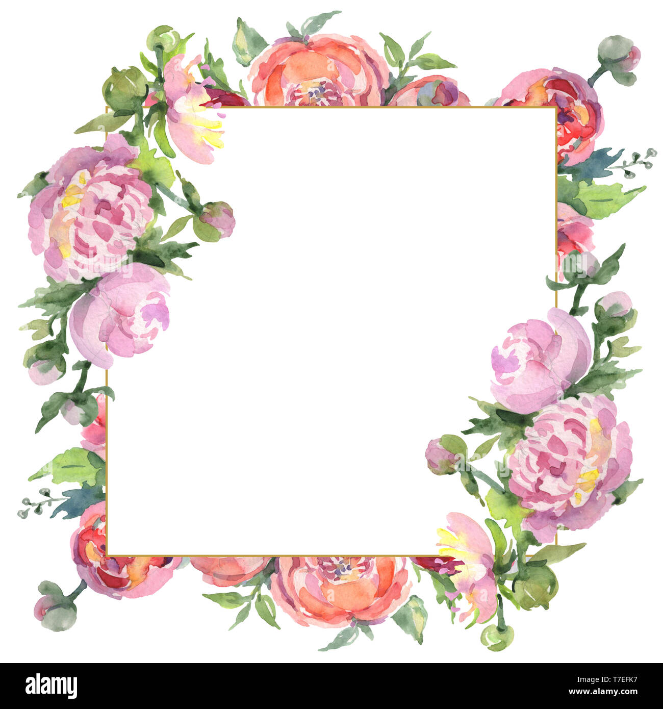 Peony bouquet floral botanical flowers. Wild spring leaf wildflower ...