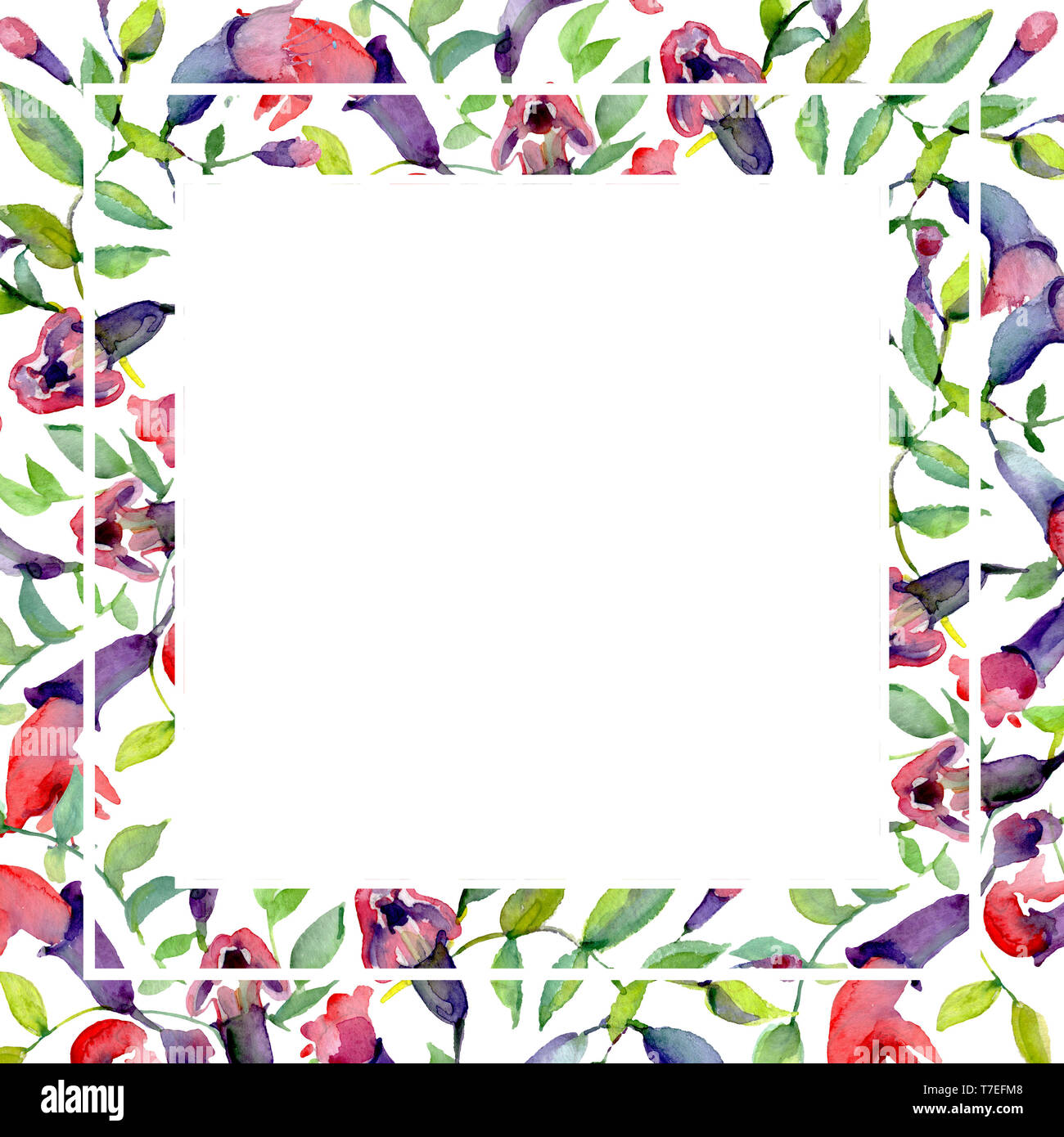 Bouquet floral botanical flowers. Wild spring leaf wildflower isolated ...