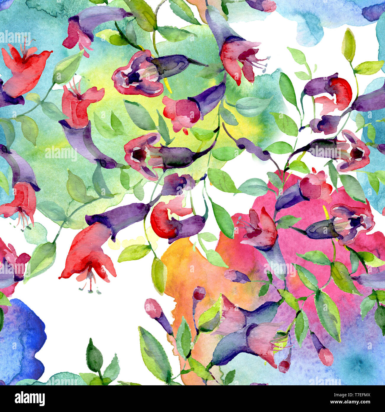 Bouquet floral botanical flowers. Wild spring leaf wildflower isolated ...