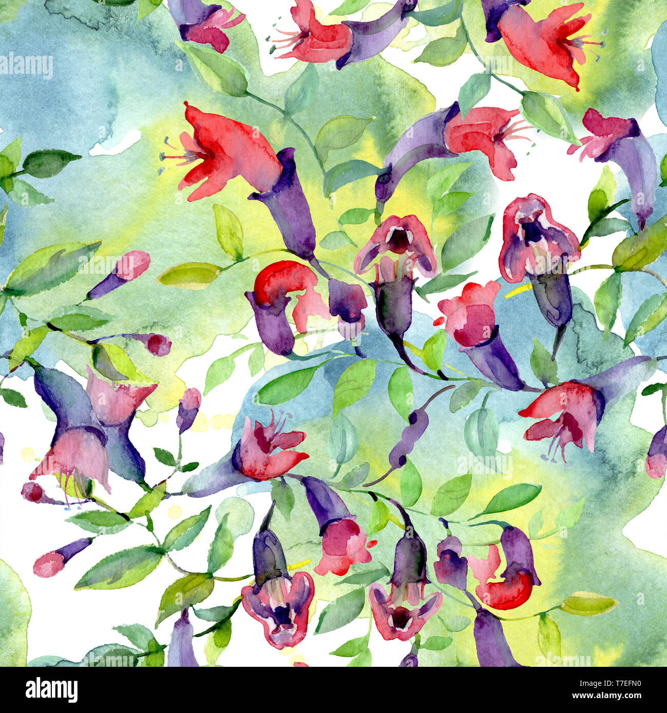 Bouquet floral botanical flowers. Wild spring leaf wildflower isolated ...