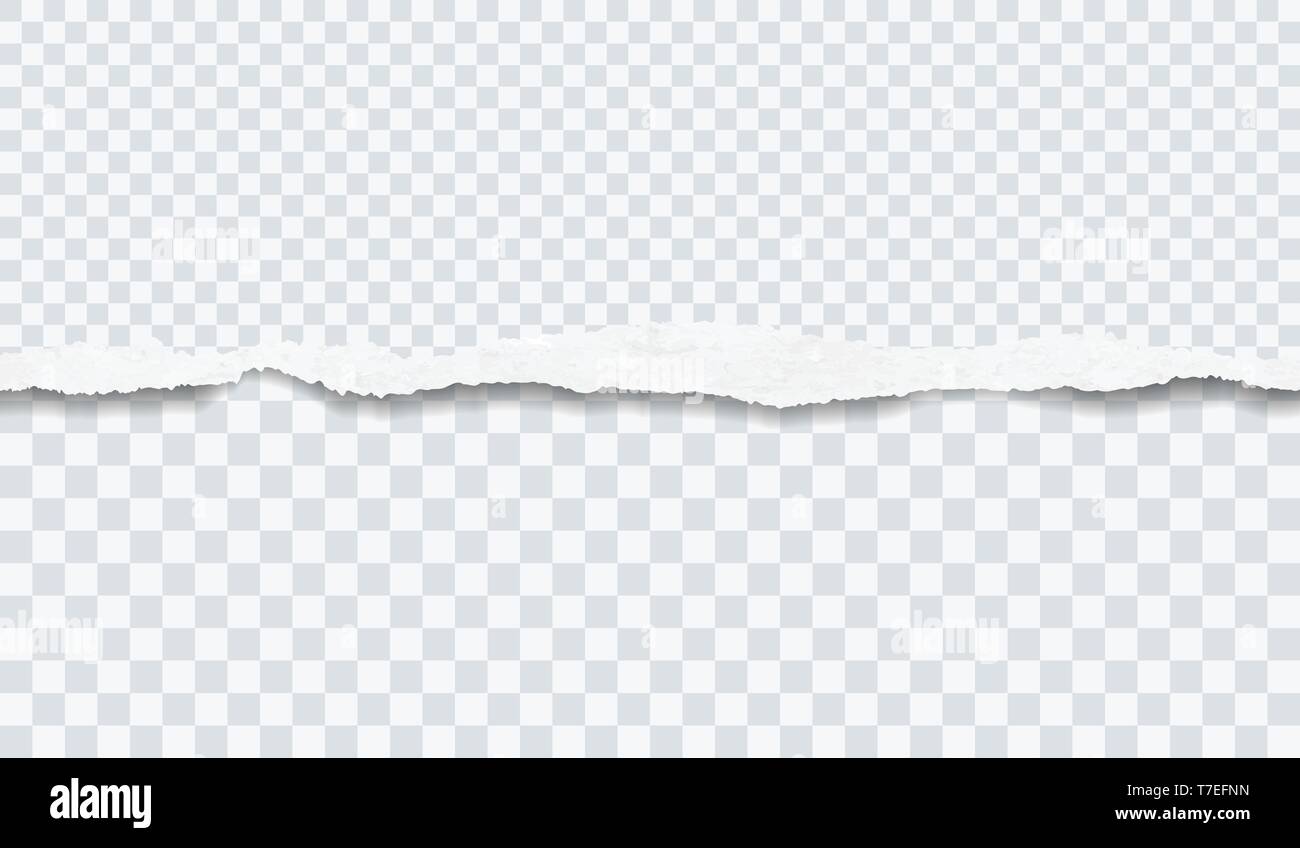 Piece of torn horizontal paper strip is on squared background. Vector ...