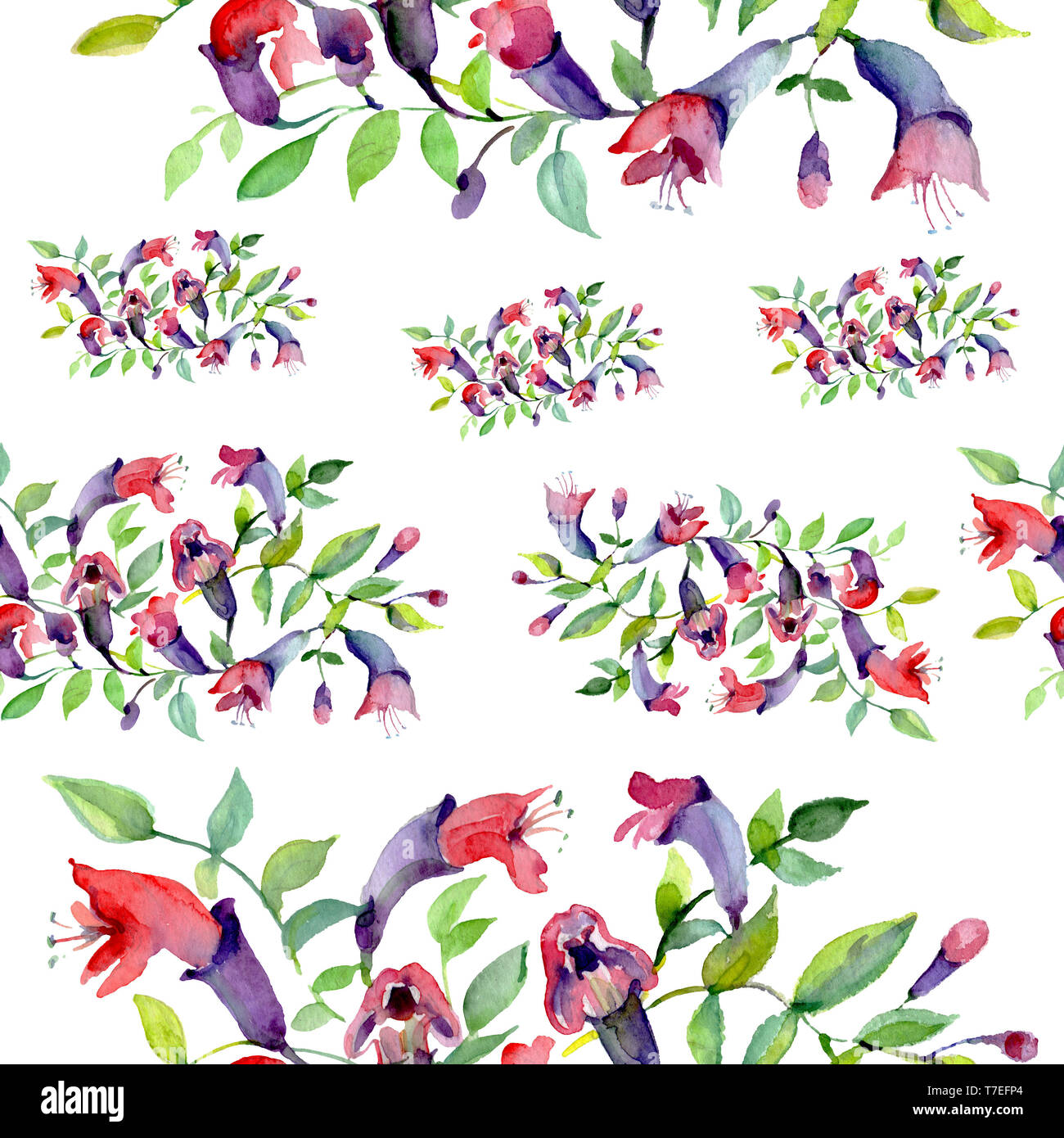 Bouquet floral botanical flowers. Wild spring leaf wildflower isolated ...