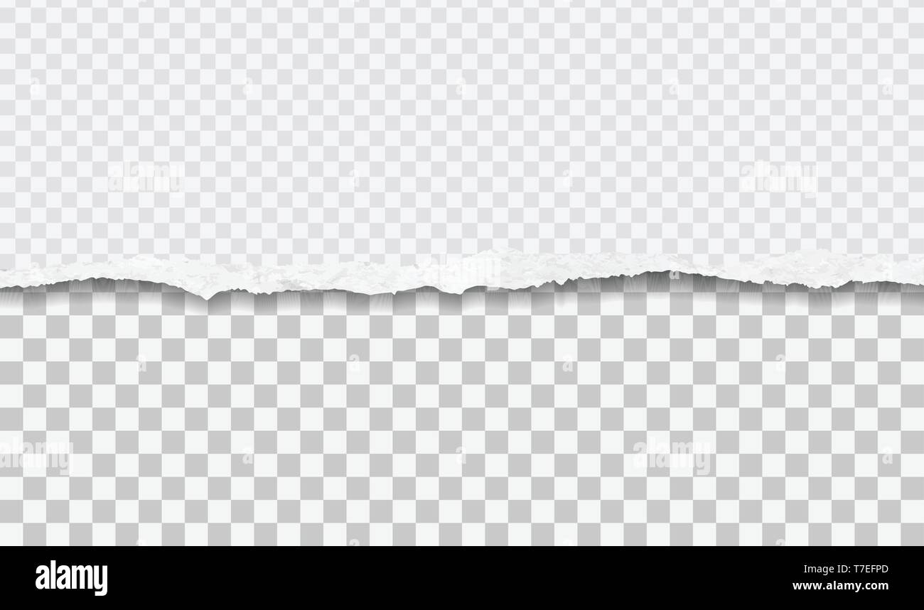 Piece of torn horizontal paper strip is on squared background. Vector ...