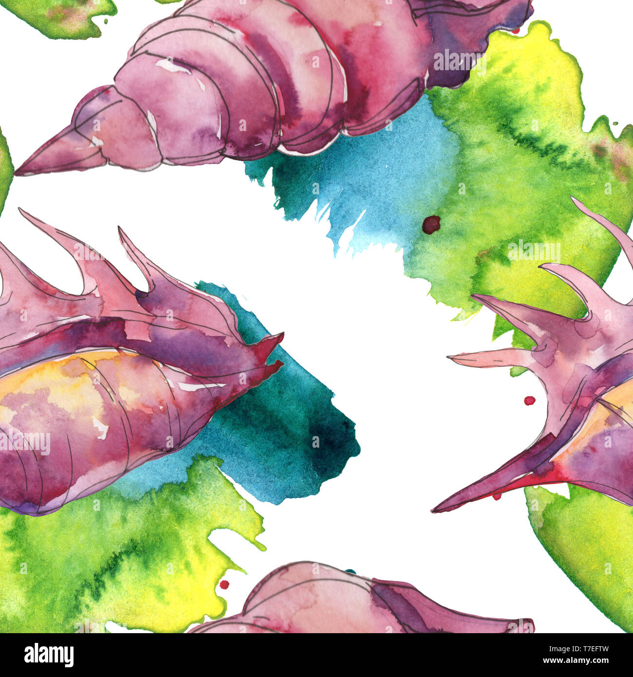 Summer beach seashell tropical elements. Watercolor background ...