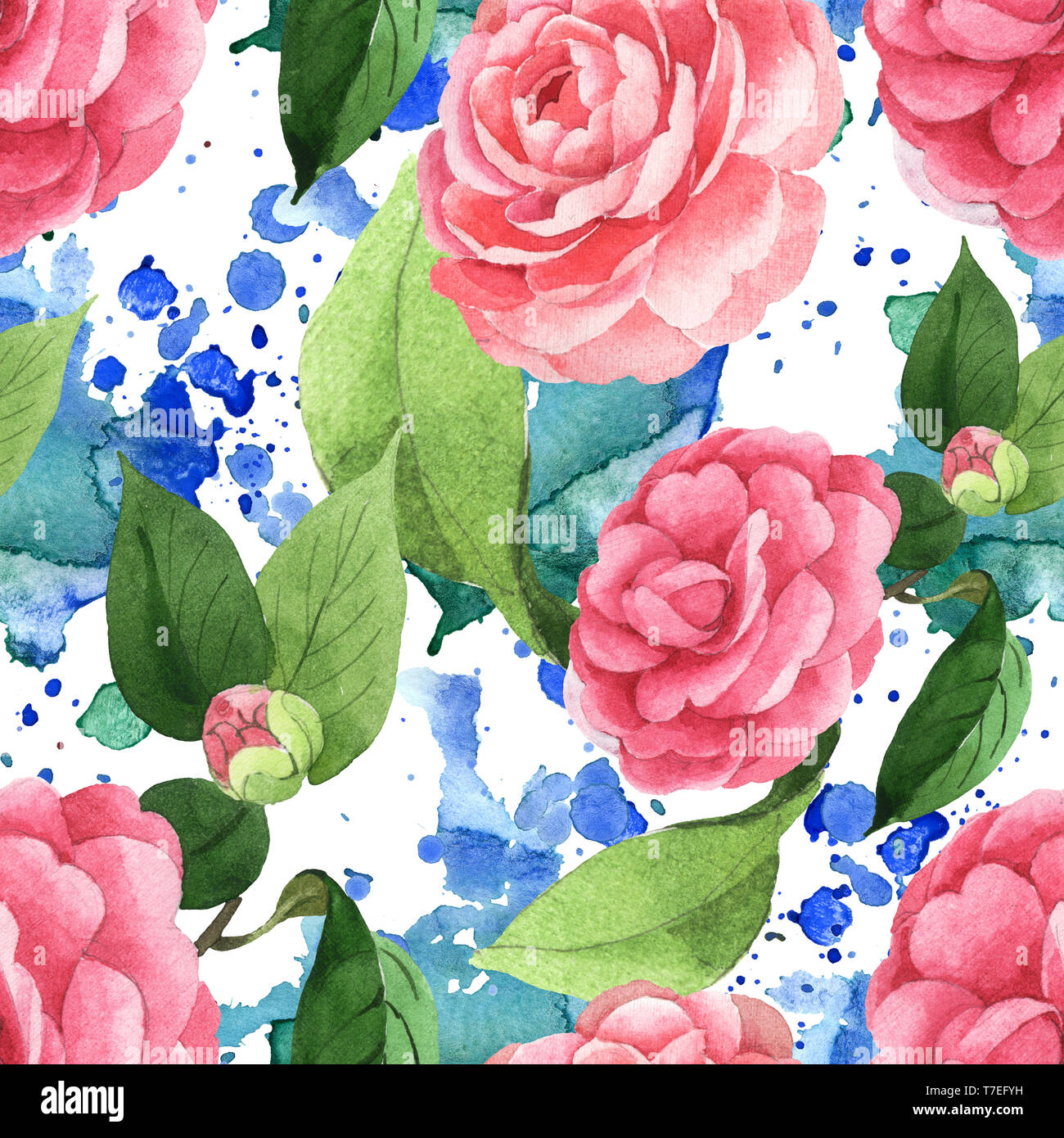 Pink camelia floral botanical flowers. Wild spring leaf wildflower ...