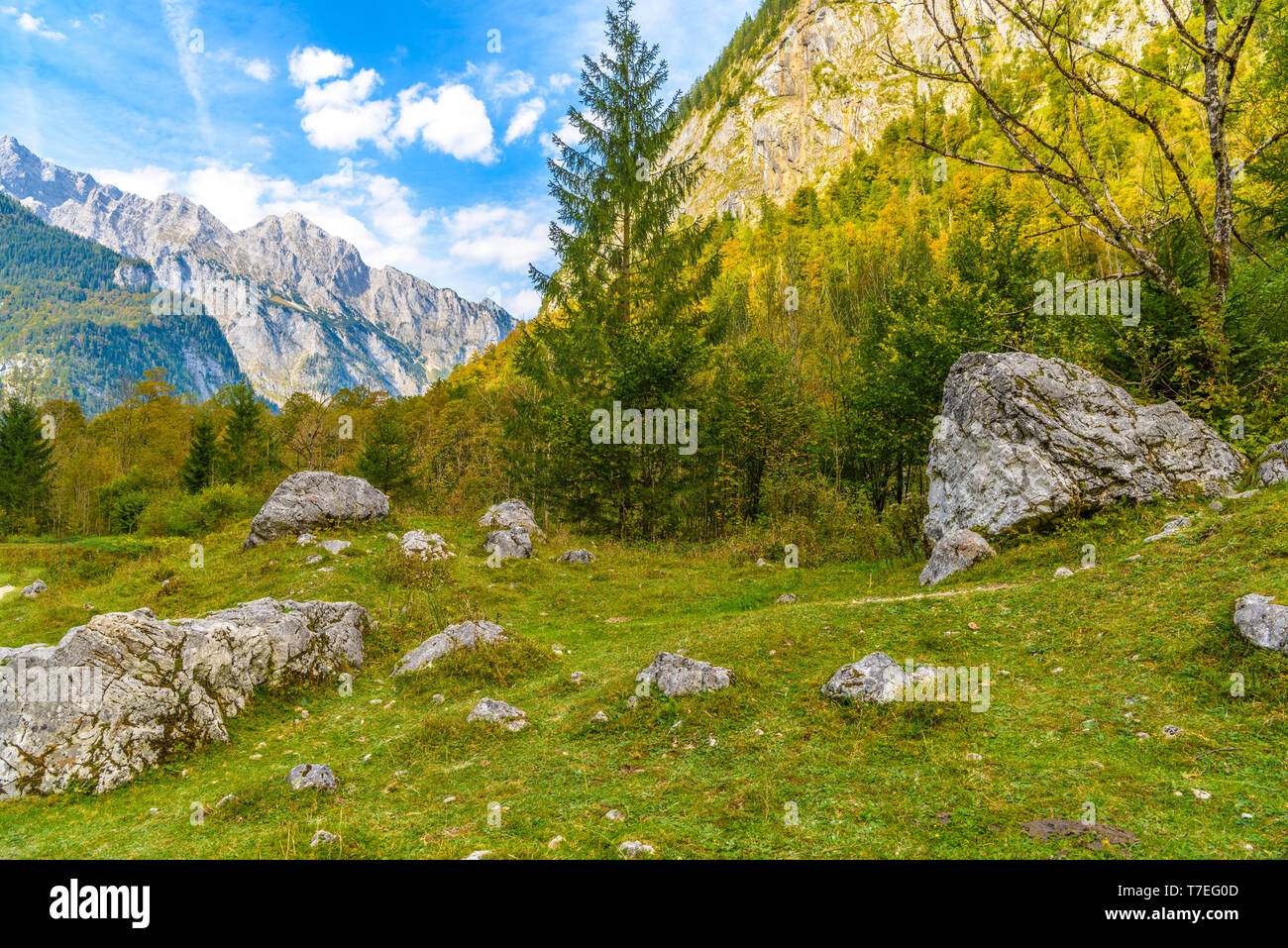 Boulder stones in Koenigssee, Konigsee, Berchtesgaden National Park ...