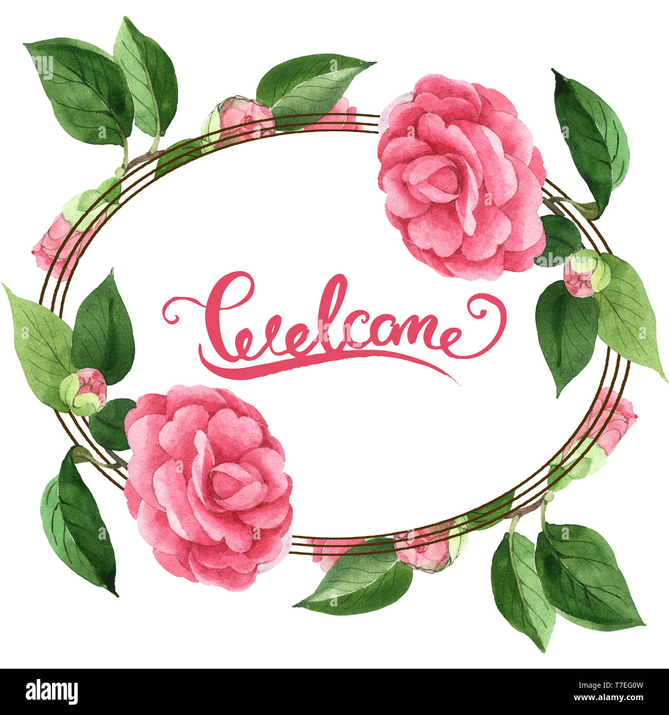 Pink camelia floral botanical flowers. Wild spring leaf wildflower ...