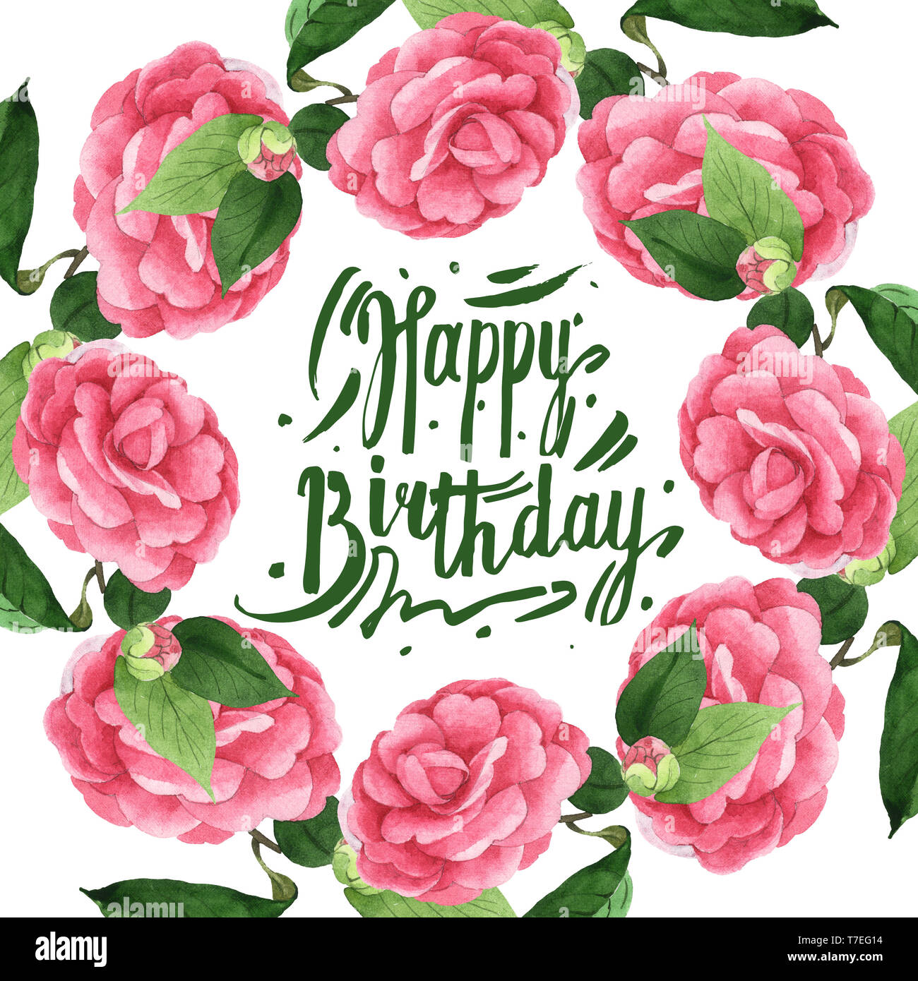 Pink camelia floral botanical flowers. Wild spring leaf wildflower ...