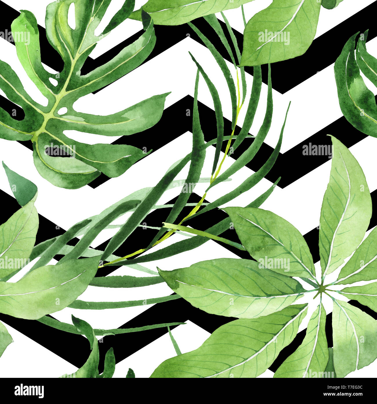 Palm beach tree leaves jungle botanical. Watercolor illustration set ...