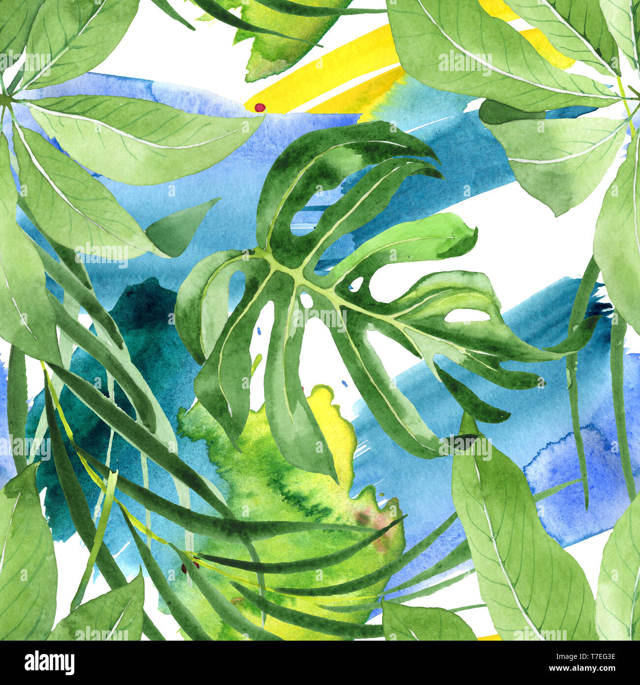 Palm beach tree leaves jungle botanical. Watercolor illustration set ...