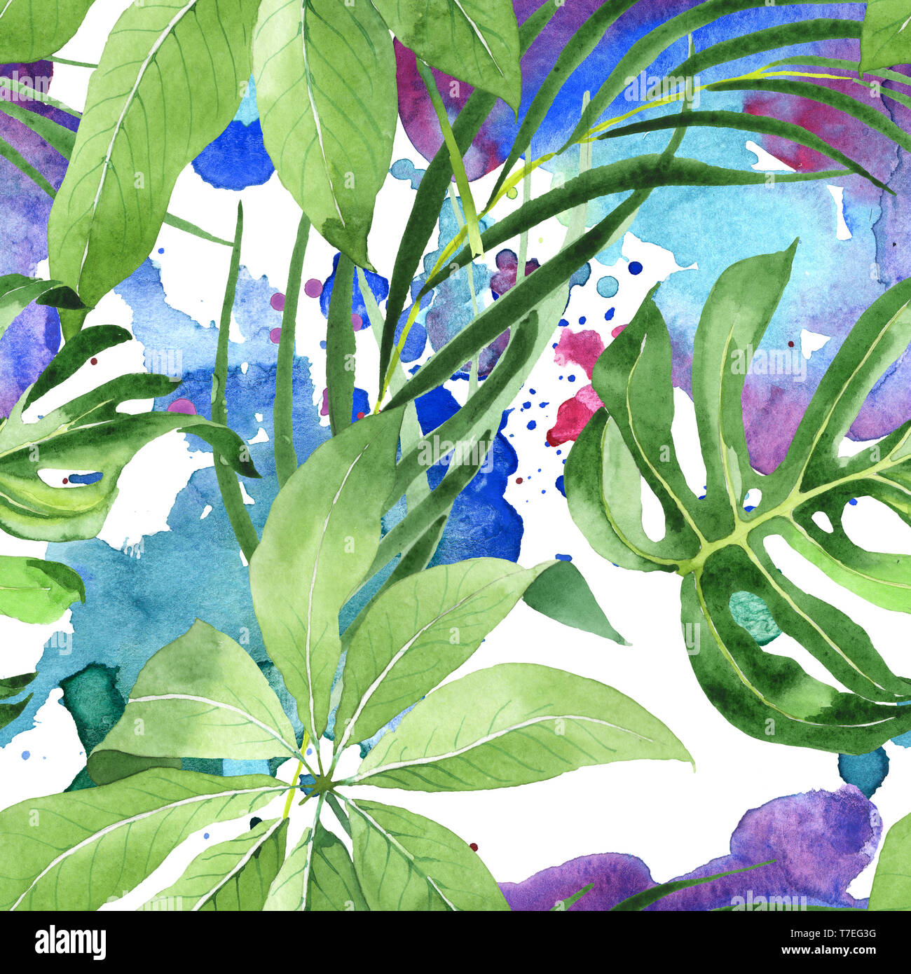 Palm beach tree leaves jungle botanical. Watercolor illustration set ...