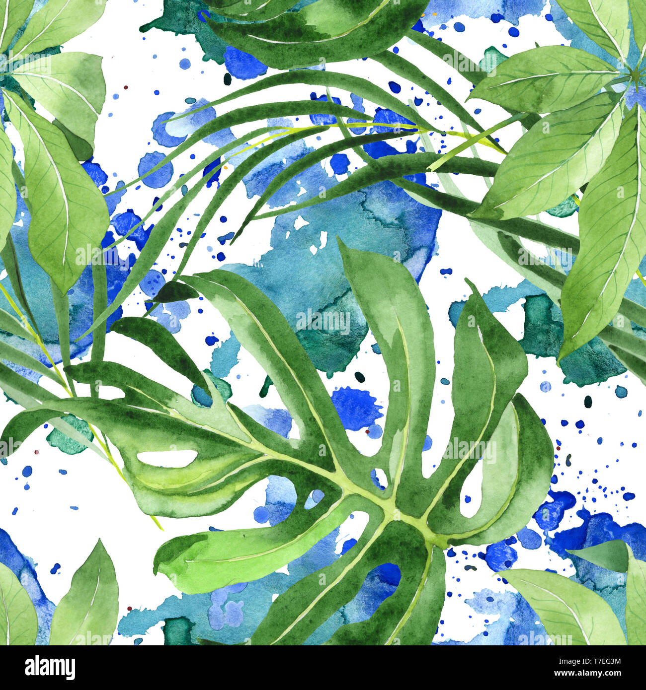 Palm beach tree leaves jungle botanical. Watercolor illustration set ...