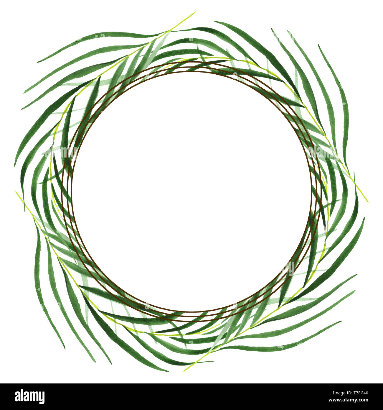 Exotic tropical hawaiian summer. Palm beach tree leaves jungle ...