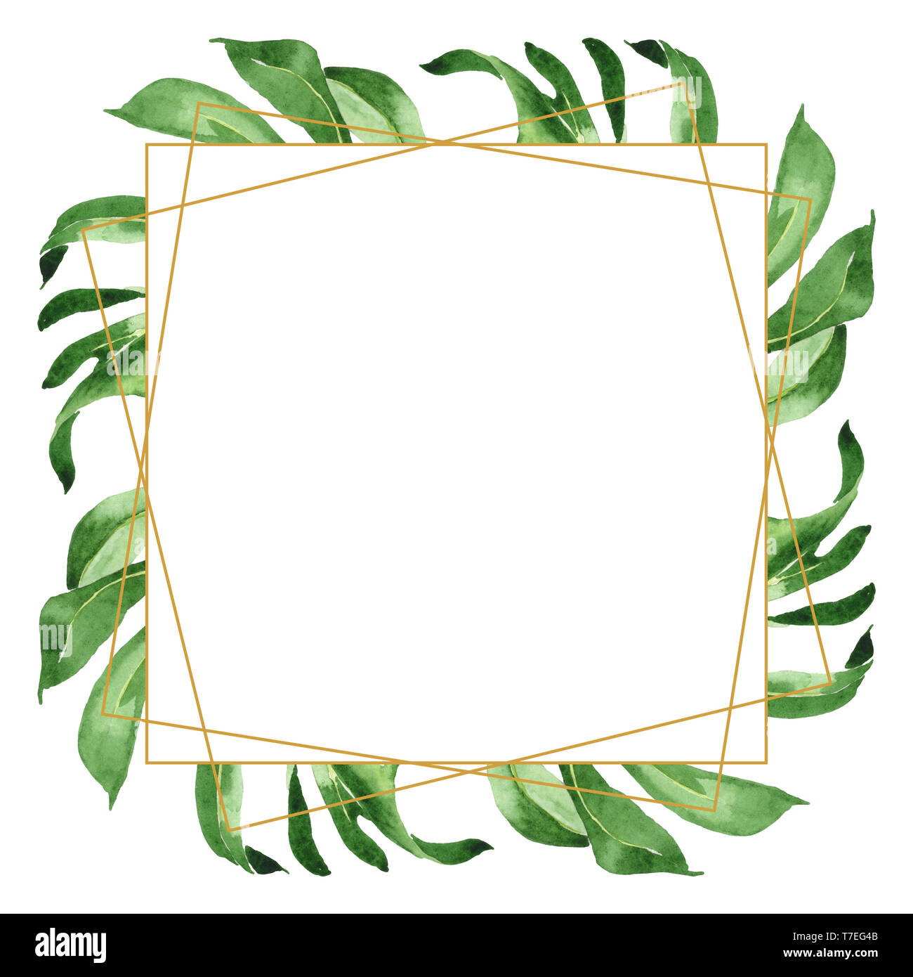 Exotic tropical hawaiian summer. Palm beach tree leaves jungle ...