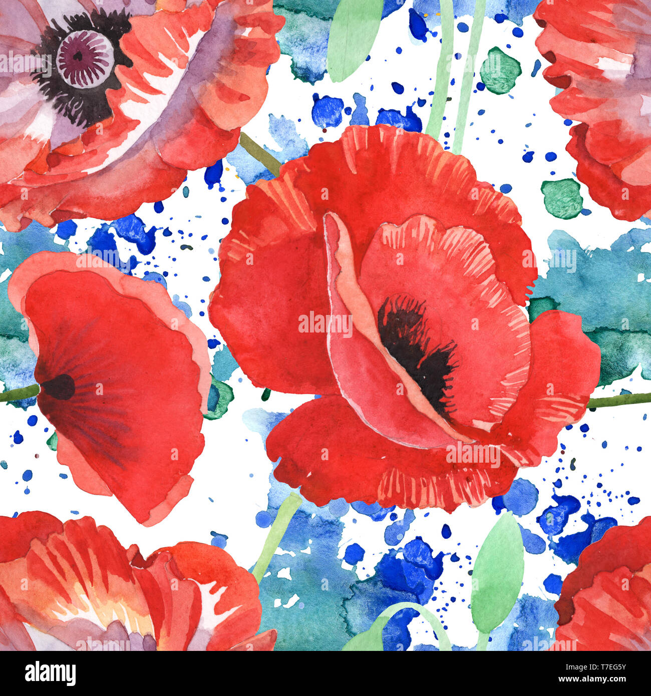 Red poppy botanical flowers. Wild spring leaf wildflower. Watercolor ...