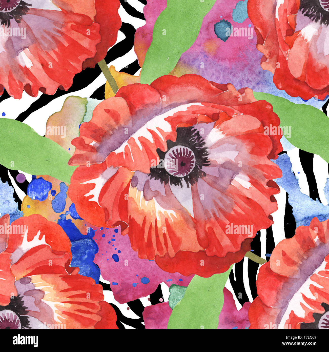 Red poppy botanical flowers. Wild spring leaf wildflower. Watercolor ...