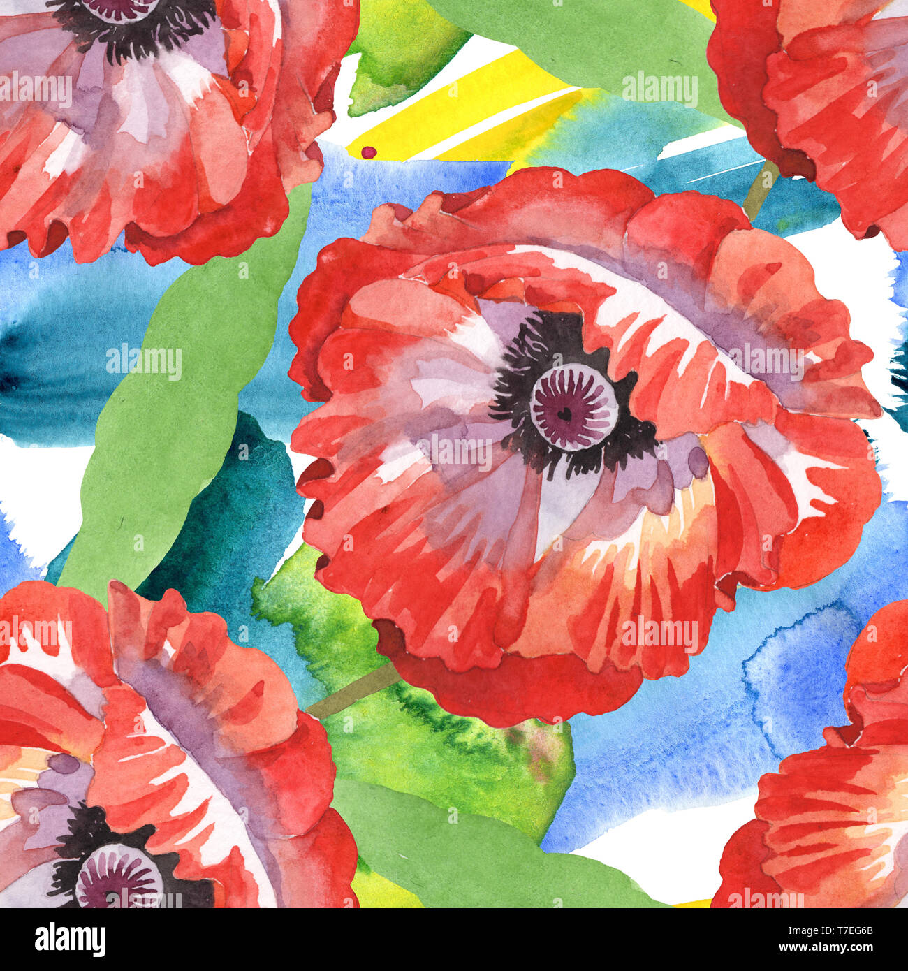 Red poppy botanical flowers. Wild spring leaf wildflower. Watercolor ...