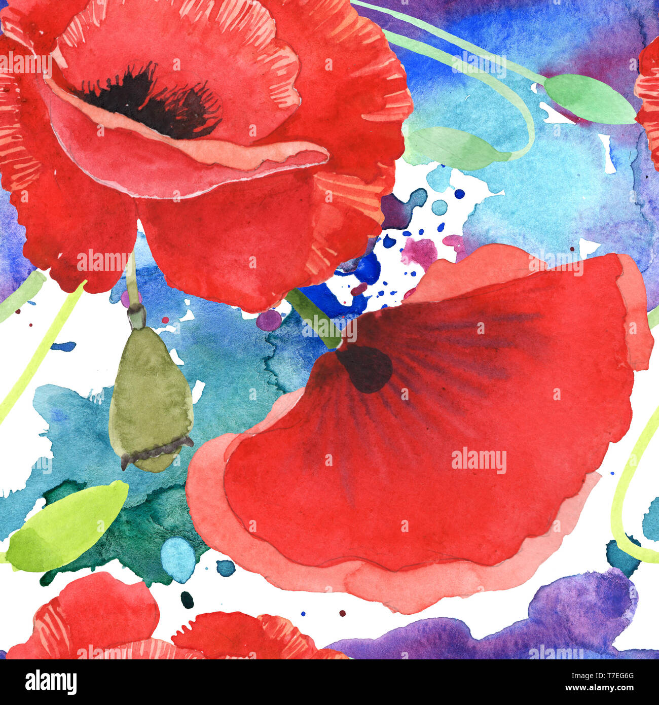 Red poppy botanical flowers. Wild spring leaf wildflower. Watercolor ...