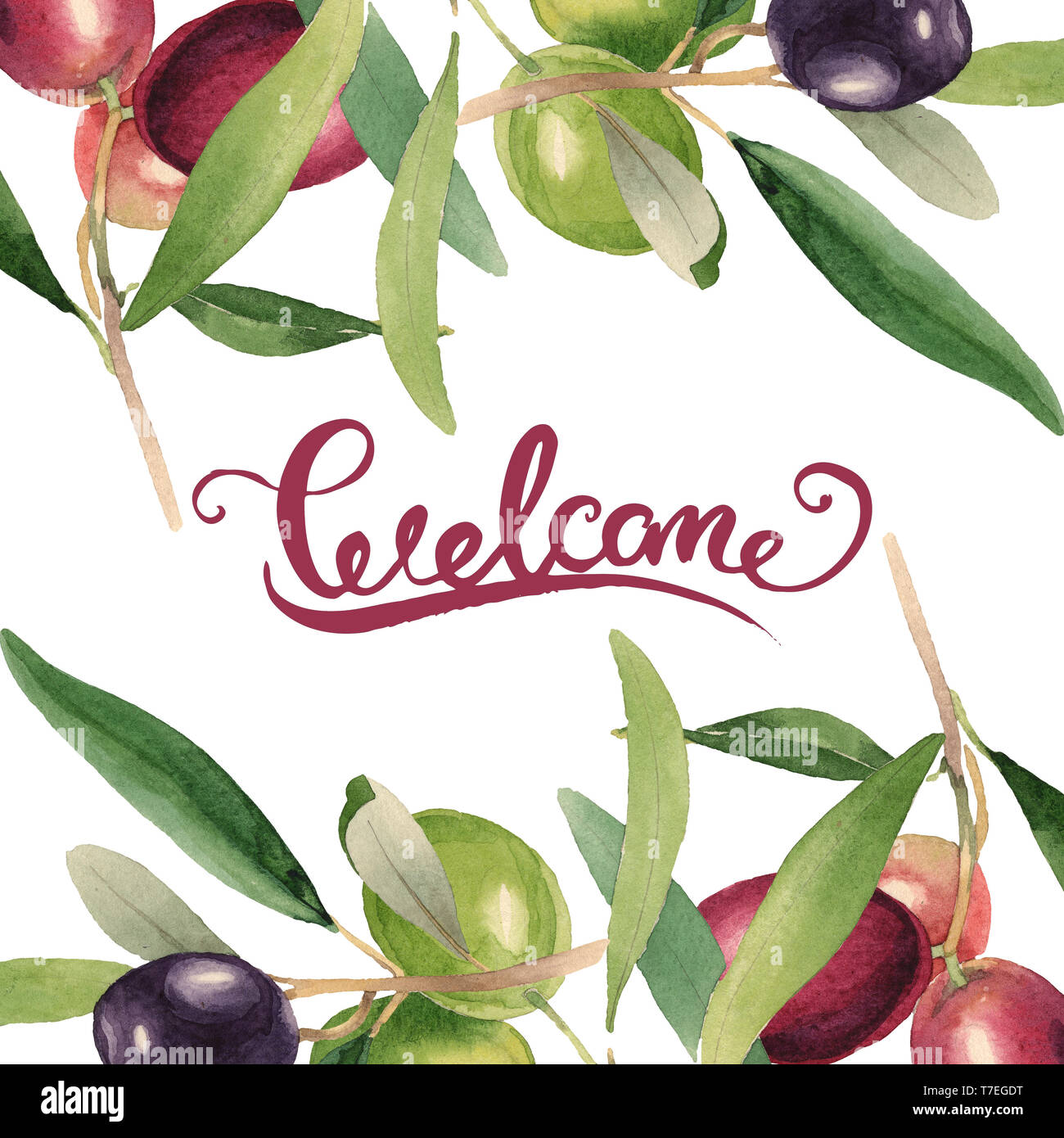 Fresh olives healthy food. Watercolor background illustration set ...