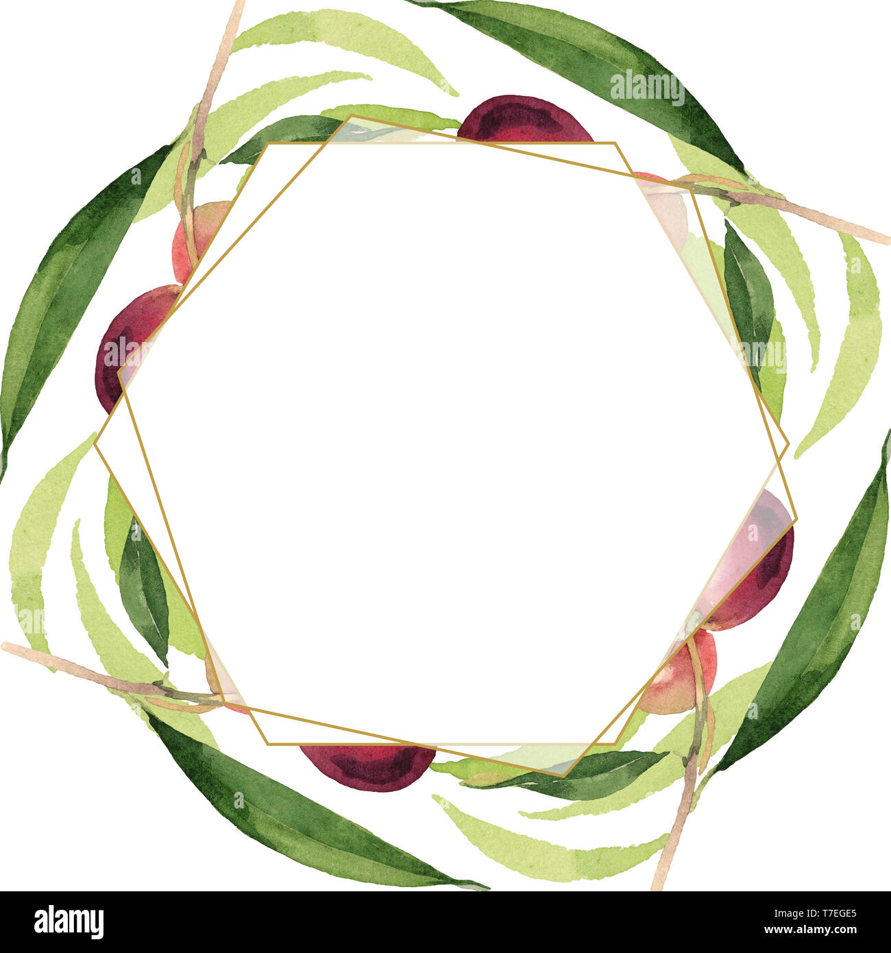 Fresh olives healthy food. Watercolor background illustration set ...