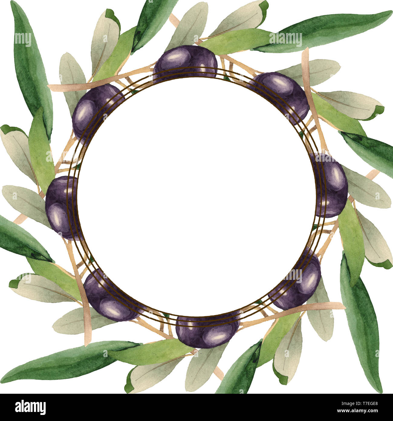 Fresh olives healthy food. Watercolor background illustration set ...