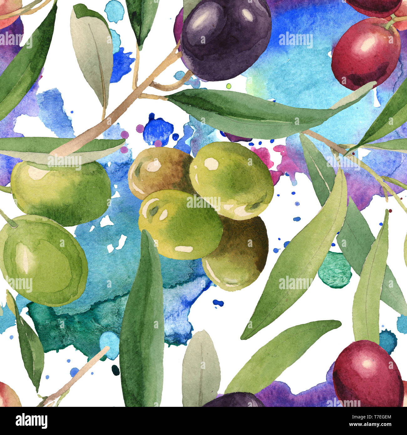 Fresh olives healthy food. Watercolor background illustration set ...