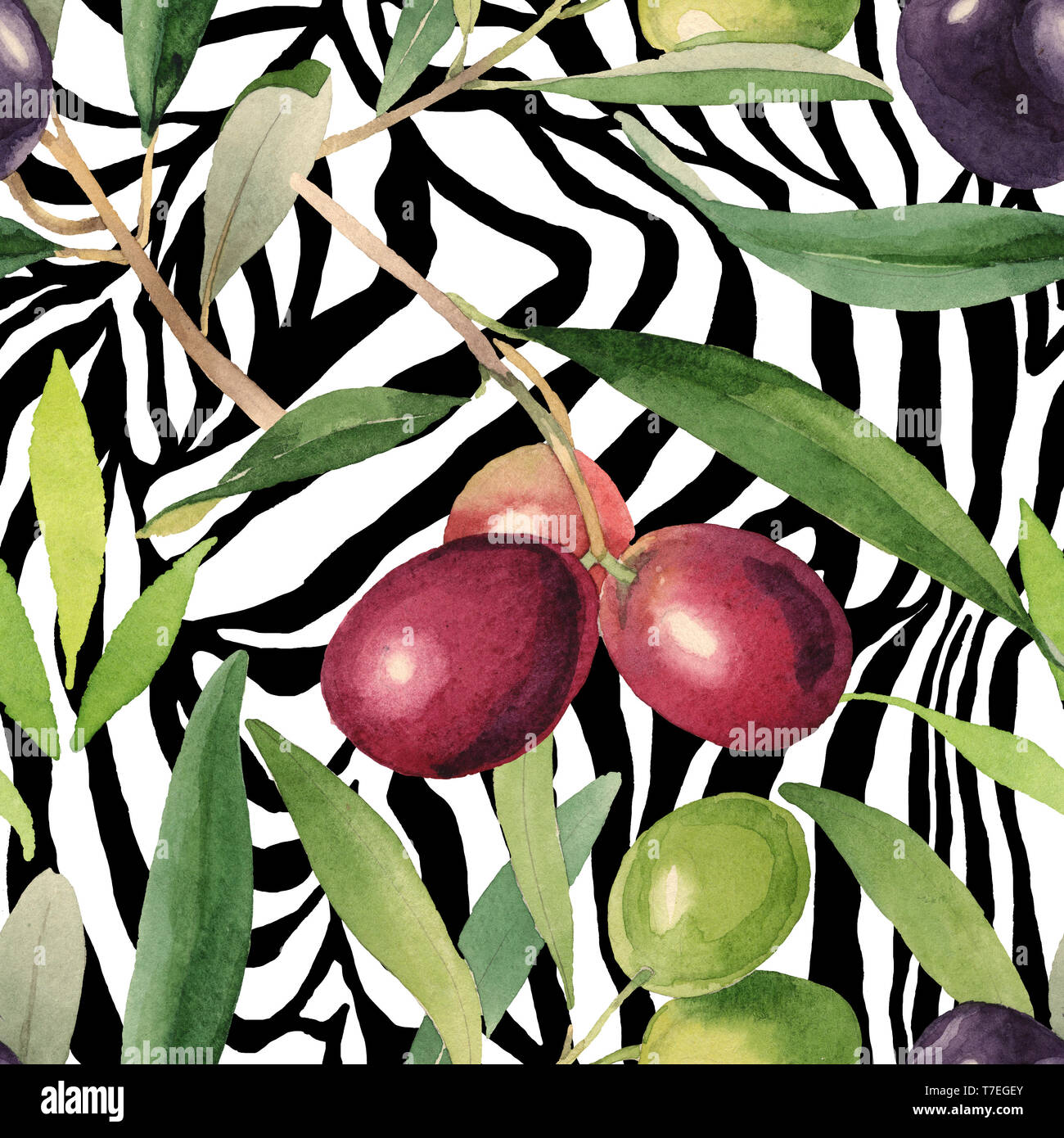 Fresh olives healthy food. Watercolor background illustration set ...