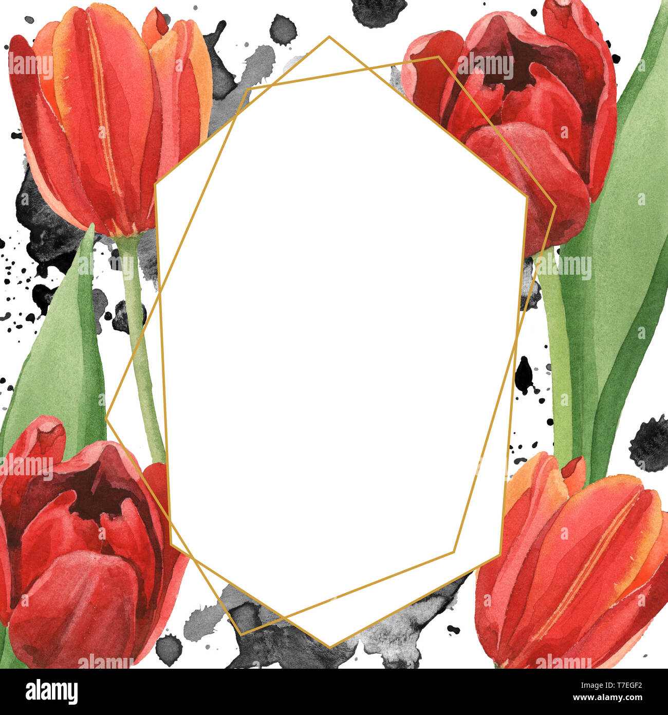 Red tulip floral botanical flowers. Wild spring leaf wildflower ...