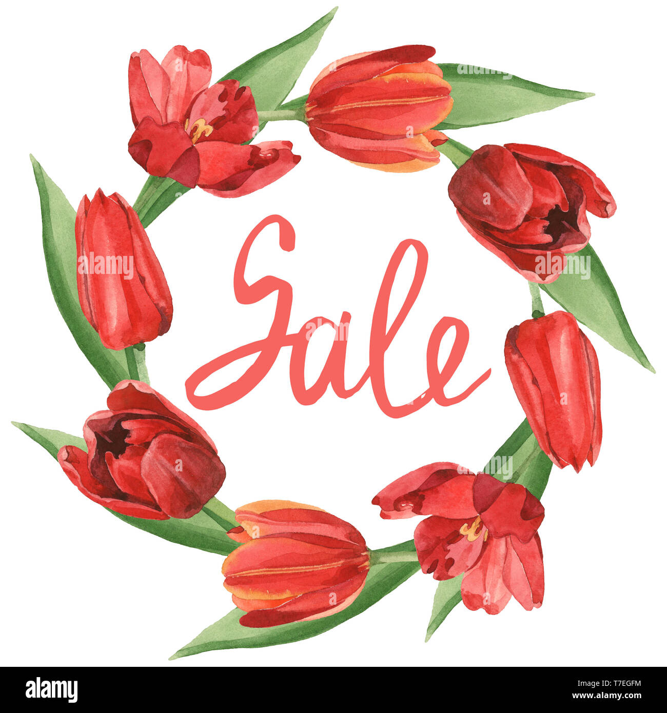 Red tulip floral botanical flowers. Wild spring leaf wildflower ...