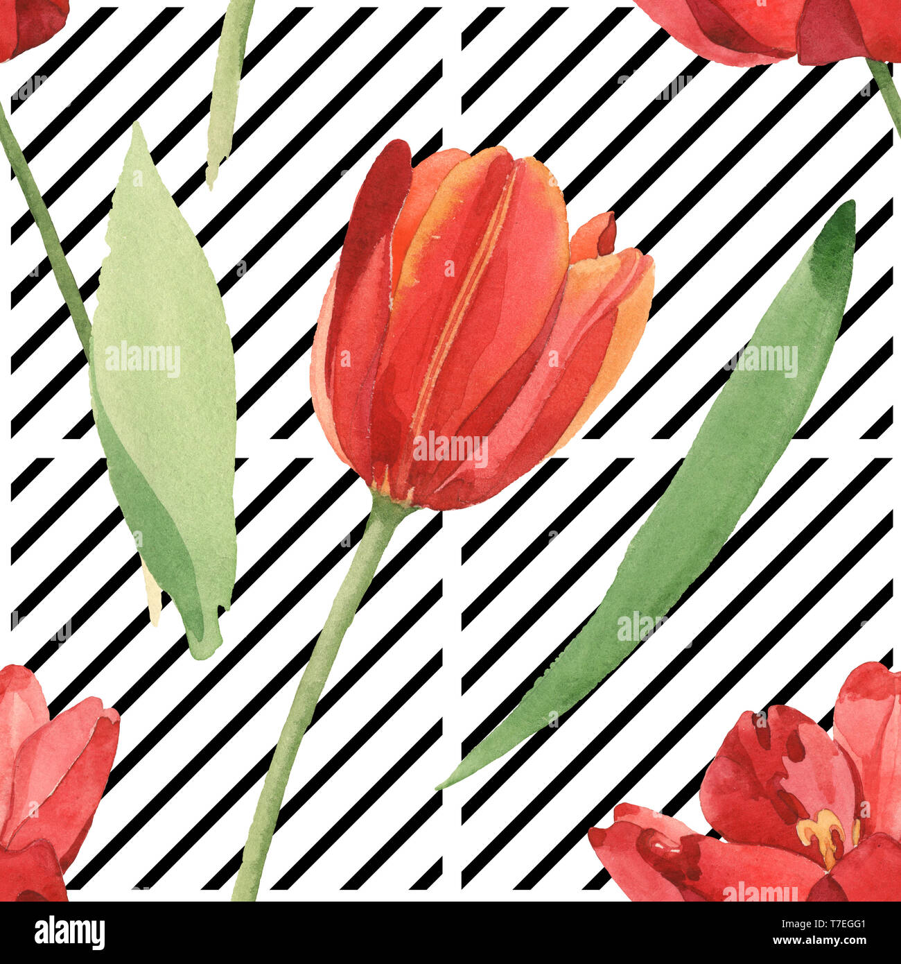 Red tulip floral botanical flowers. Wild spring leaf wildflower ...