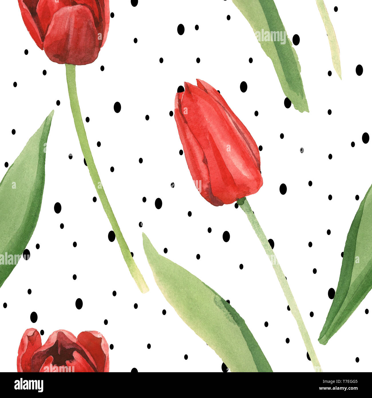 Red tulip floral botanical flowers. Wild spring leaf wildflower ...
