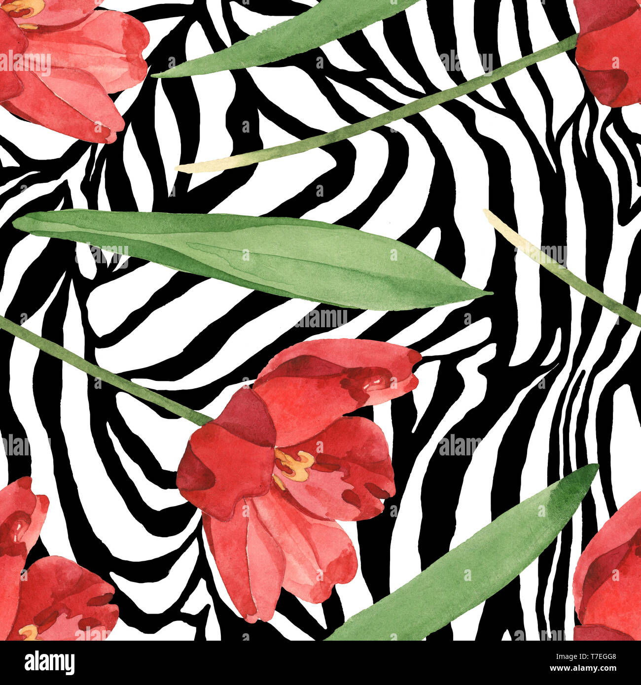 Red tulip floral botanical flowers. Wild spring leaf wildflower ...