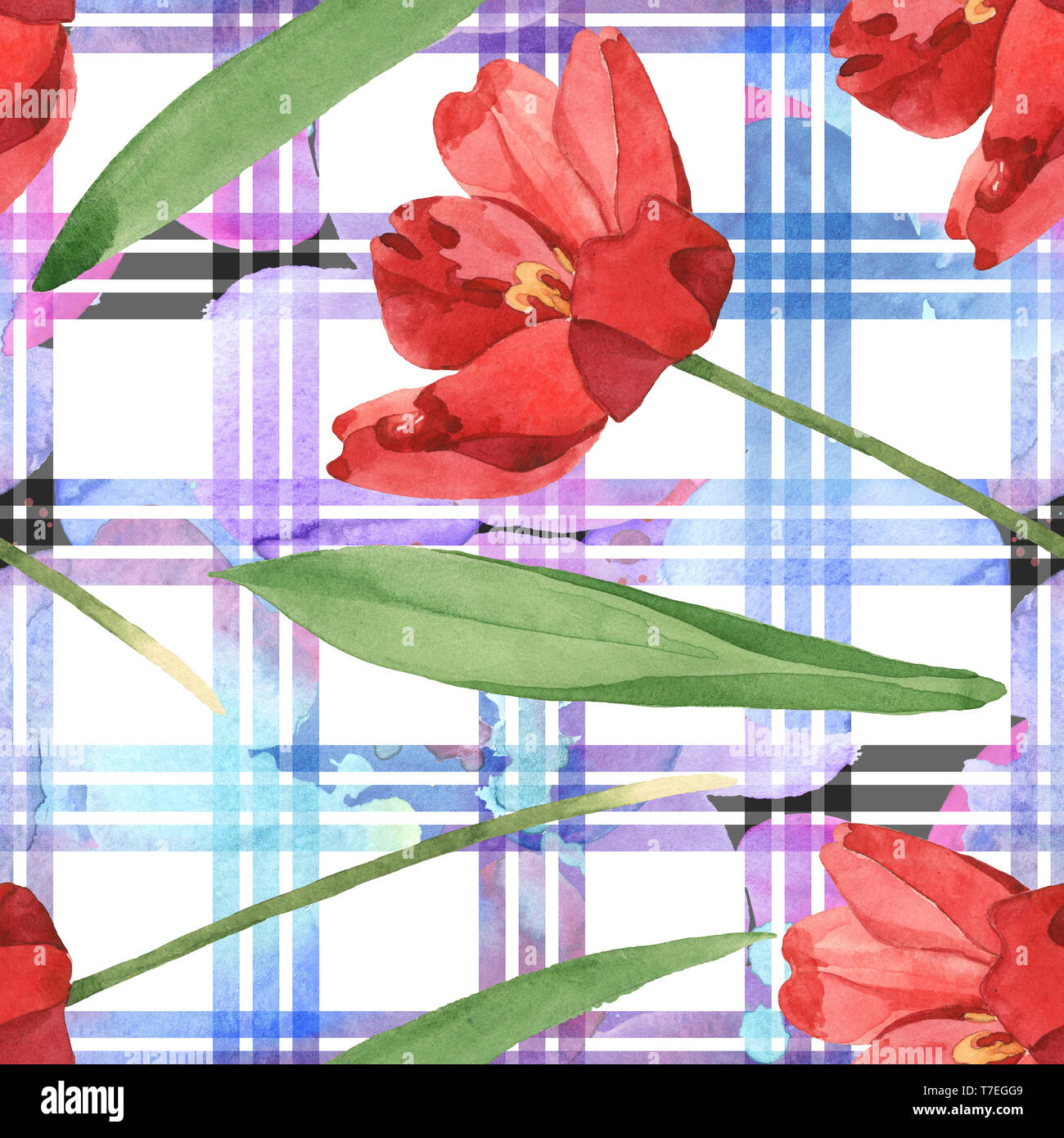 Red tulip floral botanical flowers. Wild spring leaf wildflower ...