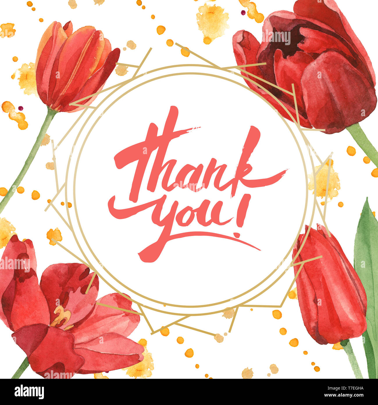 Red tulip floral botanical flowers. Wild spring leaf wildflower ...