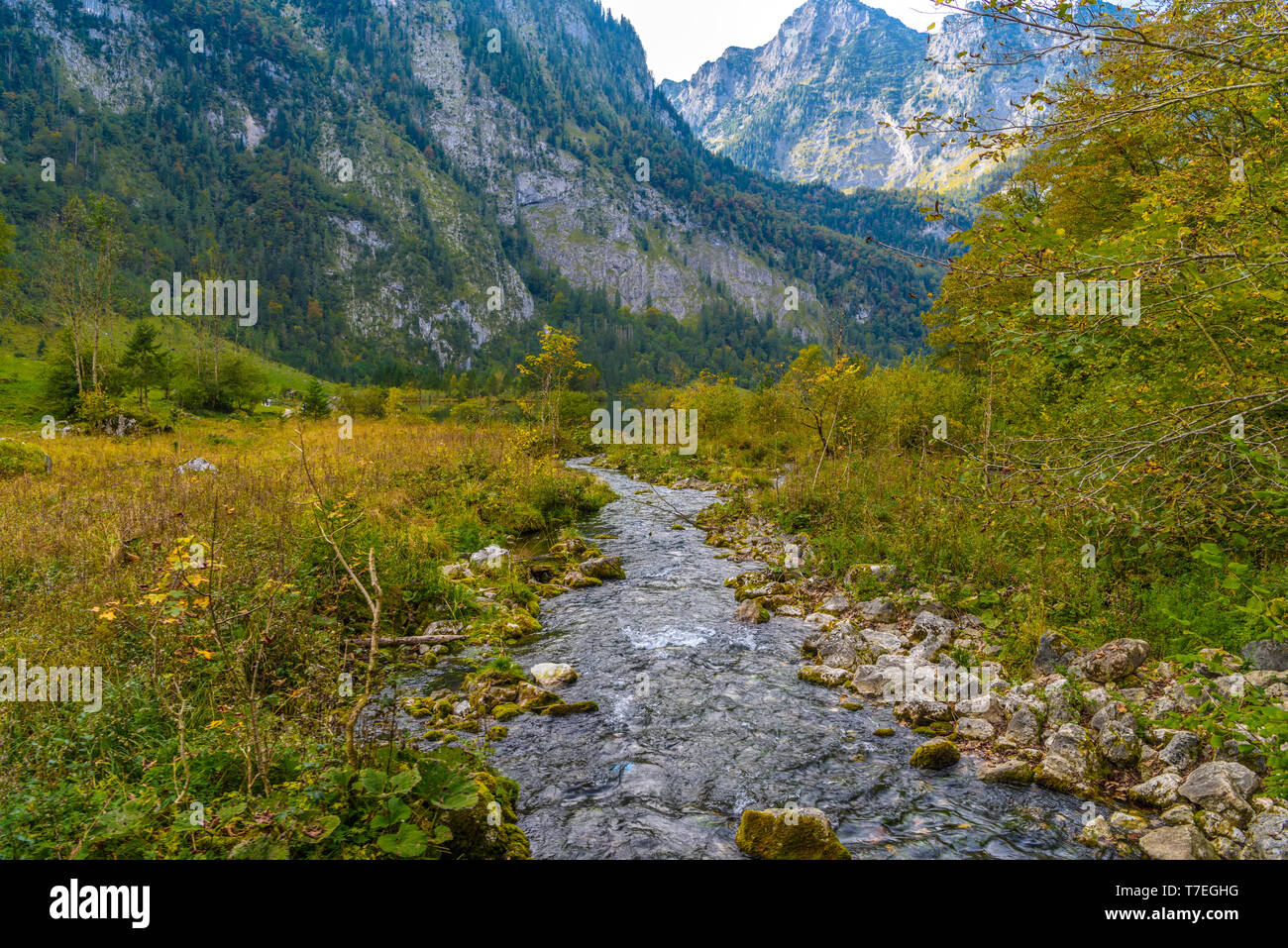 Creek mountain river in Koenigssee, Konigsee, Berchtesgaden National ...