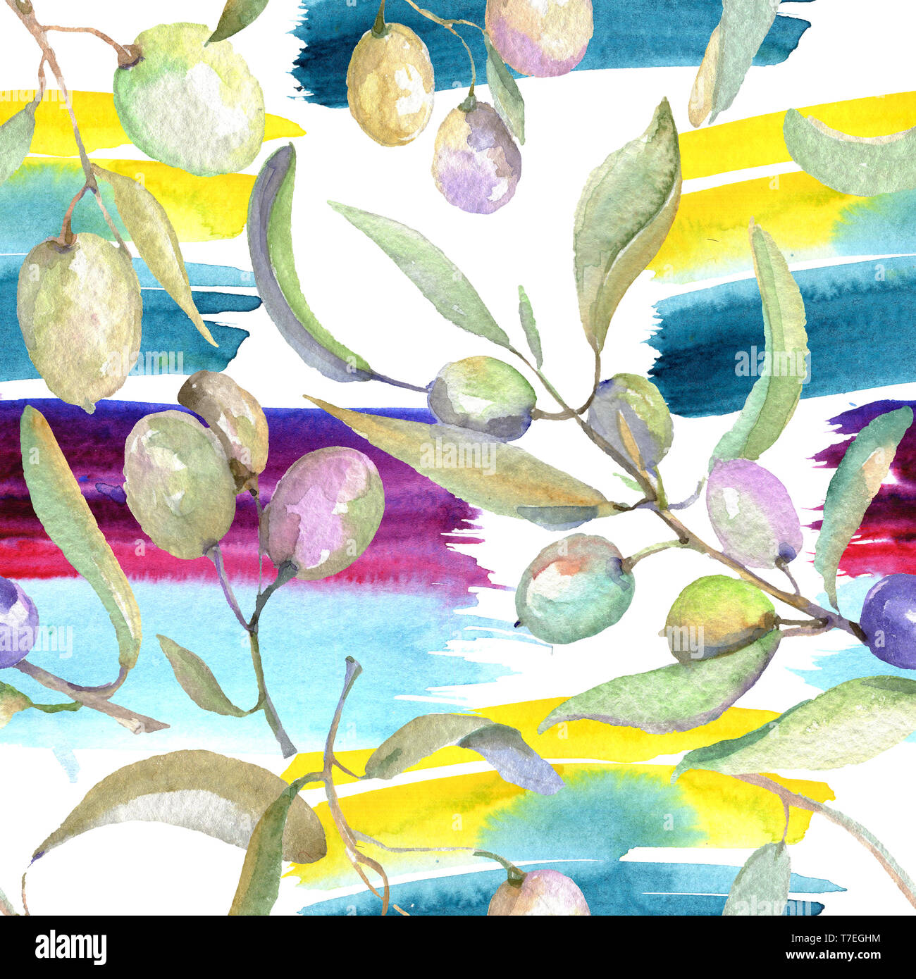 Olive branch with green fruit. Watercolor background illustration set ...