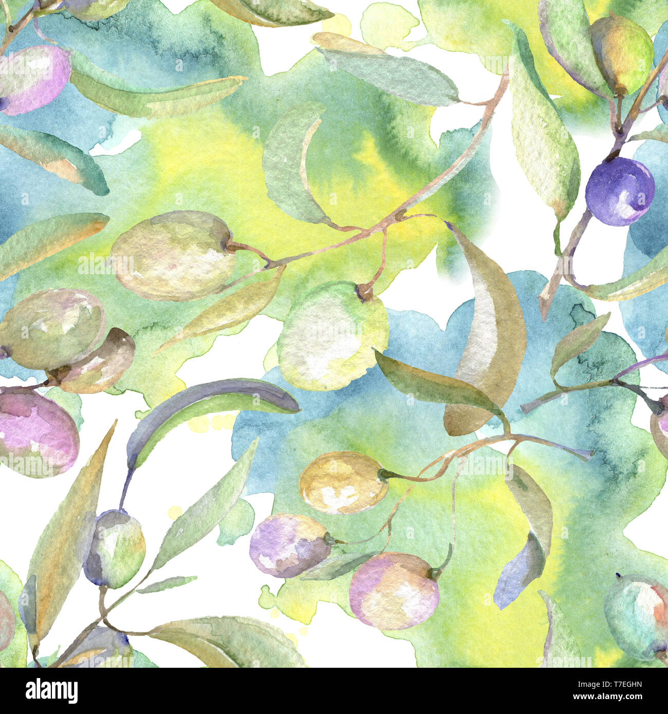 Olive branch with green fruit. Watercolor background illustration set ...