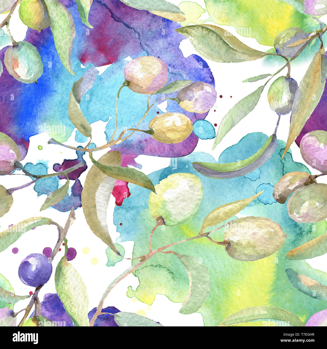 Olive branch with green fruit. Watercolor background illustration set ...