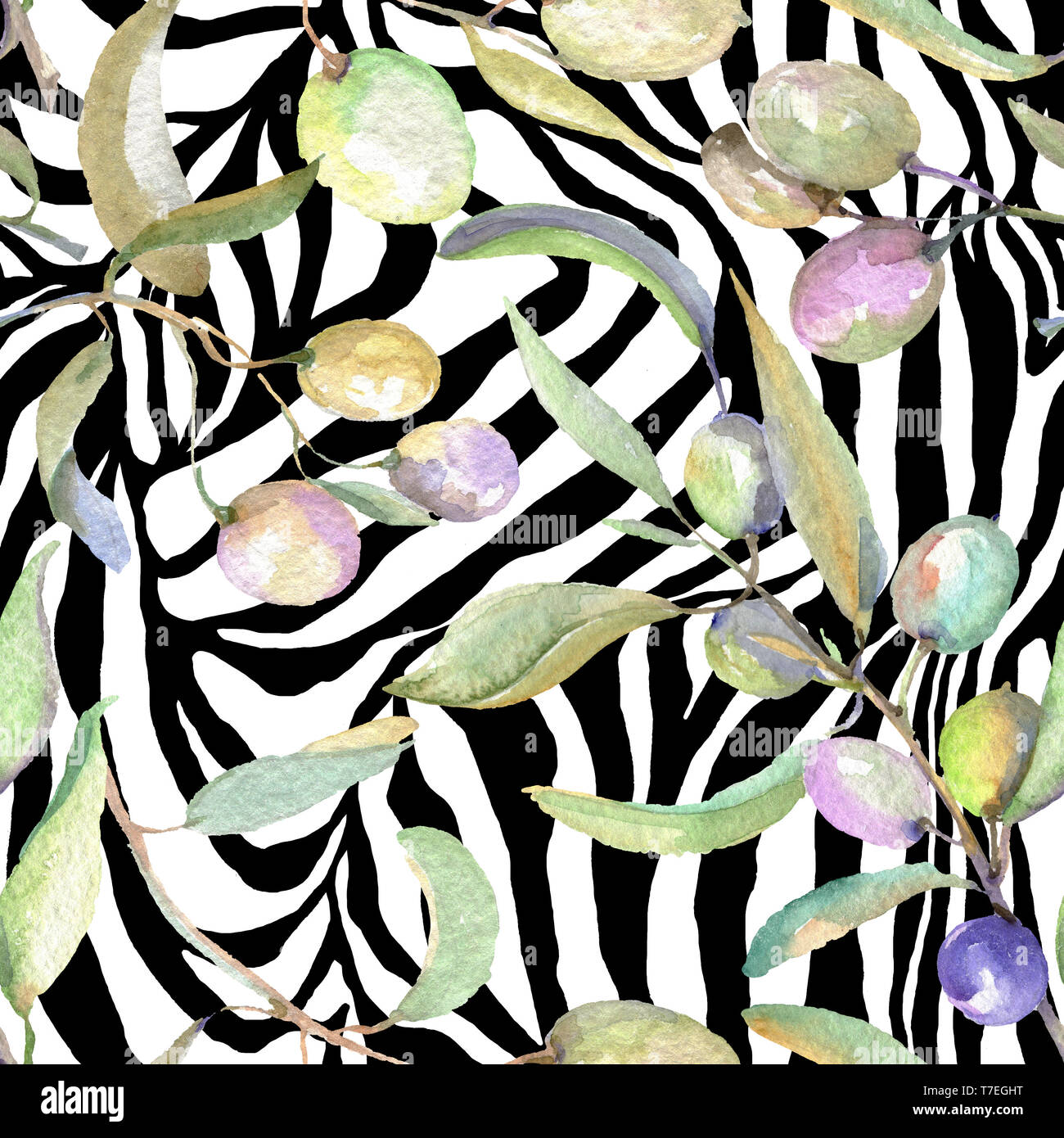 Olive branch with green fruit. Watercolor background illustration set ...