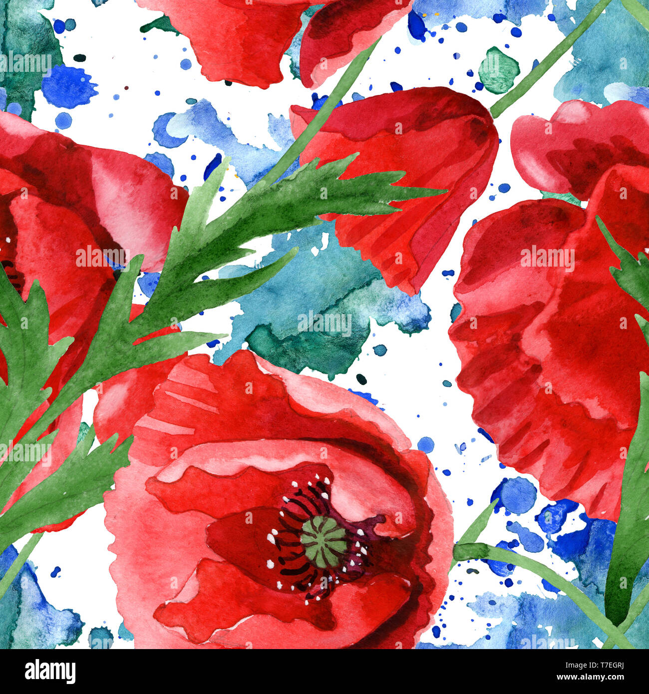 Red poppy floral botanical flowers. Wild spring leaf wildflower ...