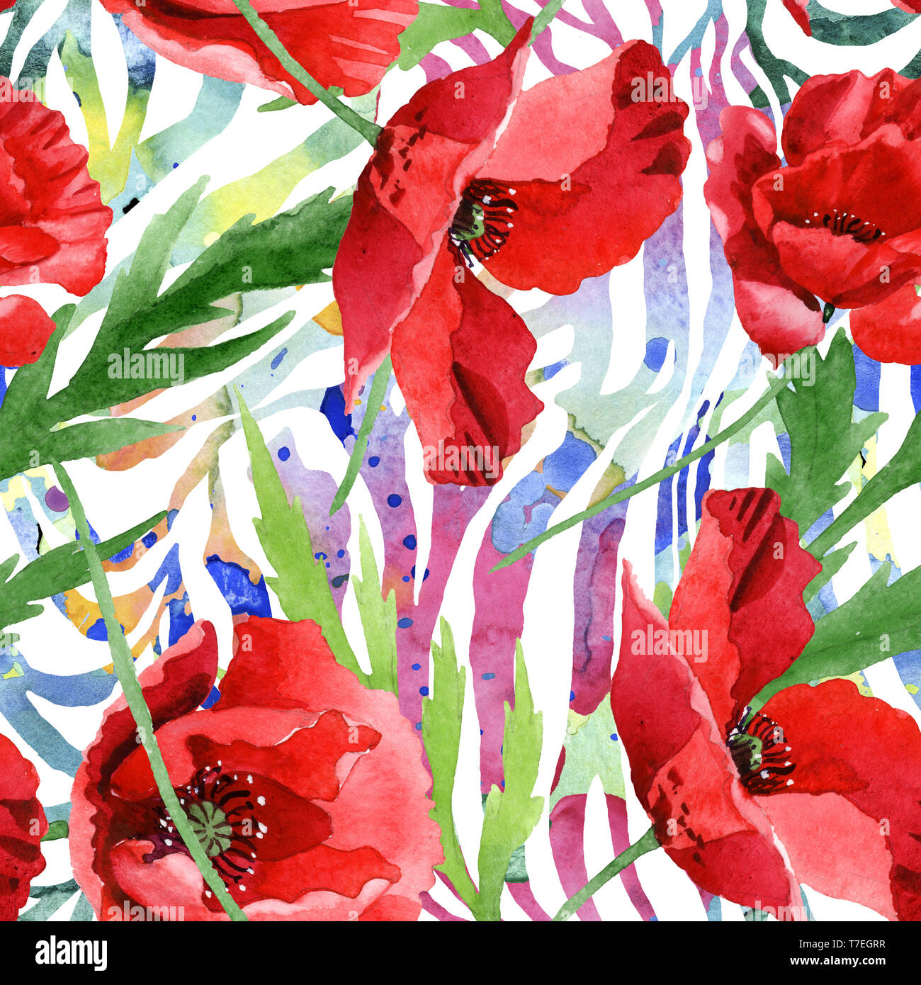 Red poppy floral botanical flowers. Wild spring leaf wildflower ...