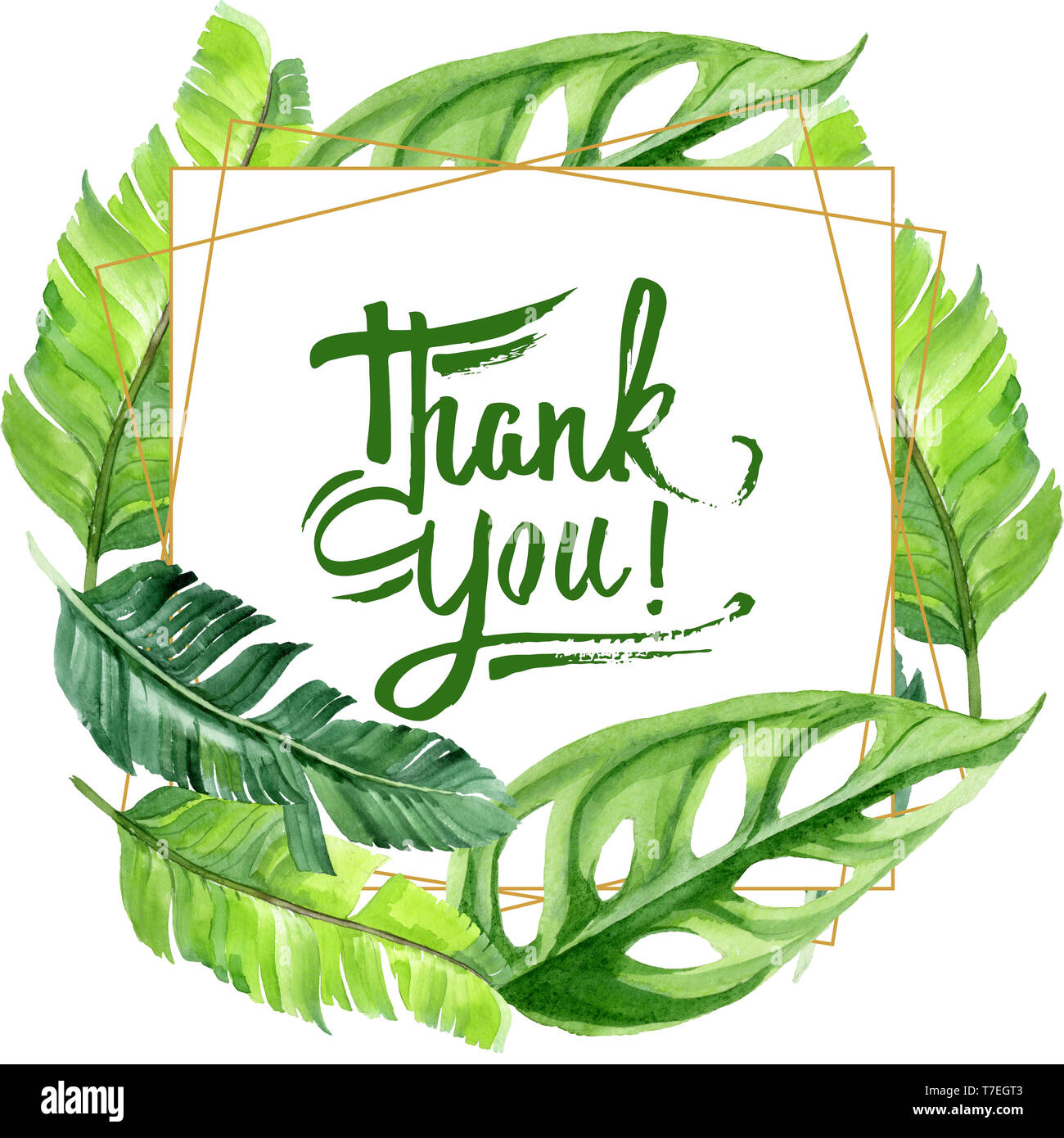 Exotic tropical hawaiian summer. Palm beach tree leaves jungle ...