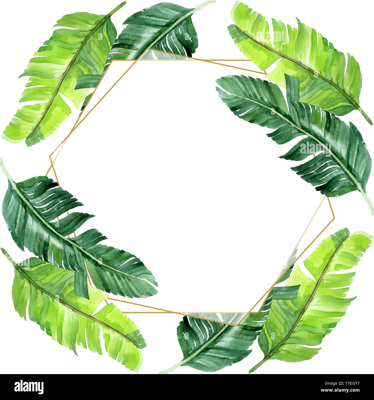 Exotic tropical hawaiian summer. Palm beach tree leaves jungle ...