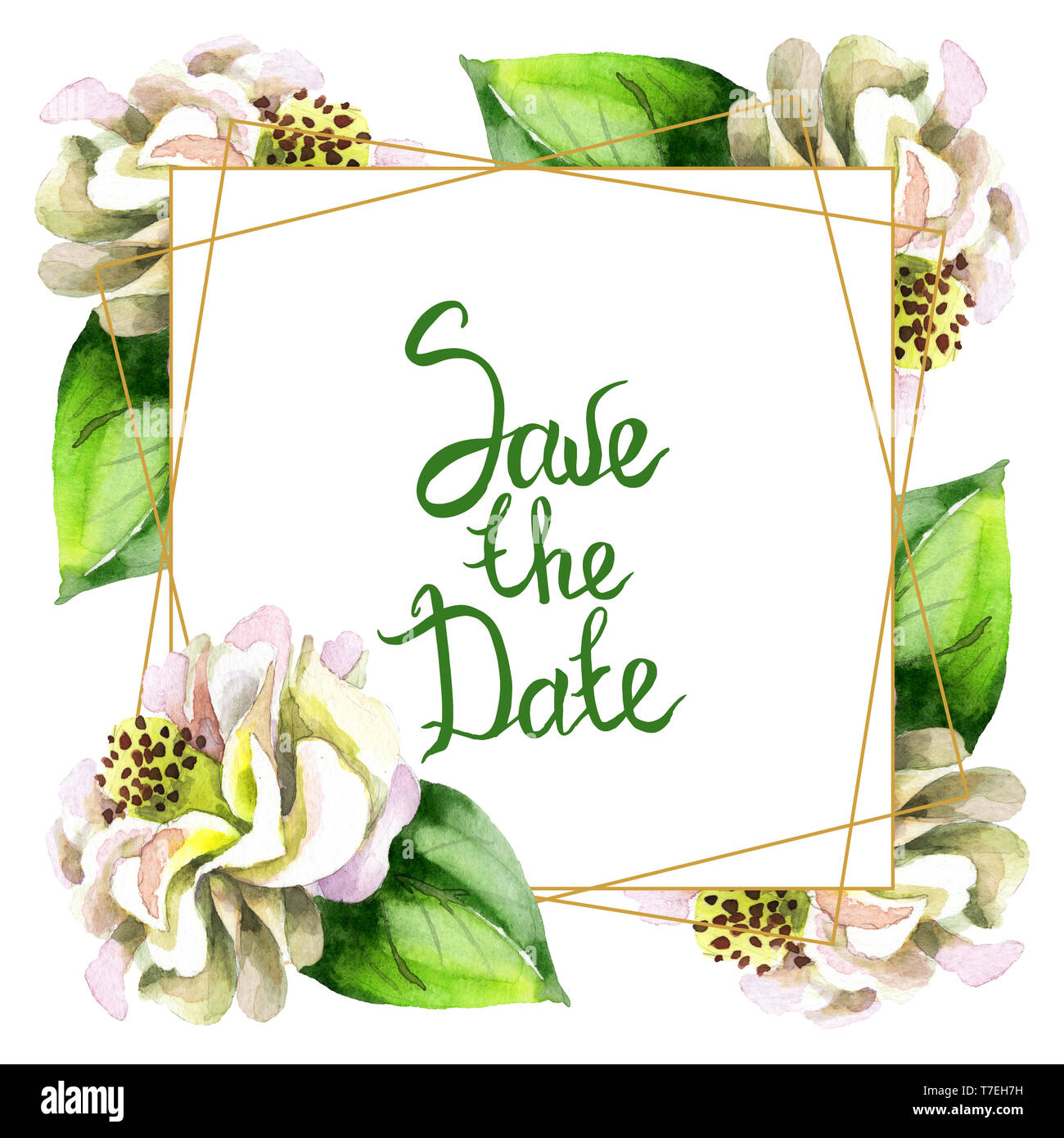 White camelia floral botanical flowers. Wild spring leaf wildflower ...