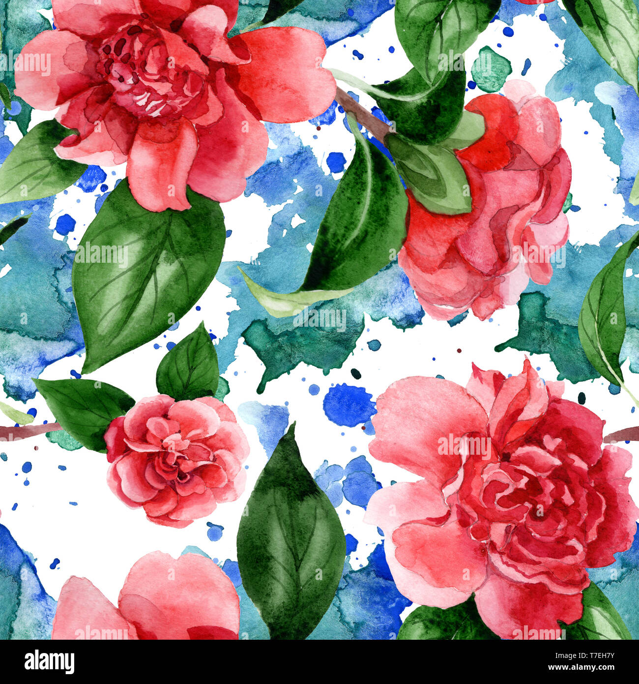 Pink camelia floral botanical flowers. Wild spring leaf wildflower ...